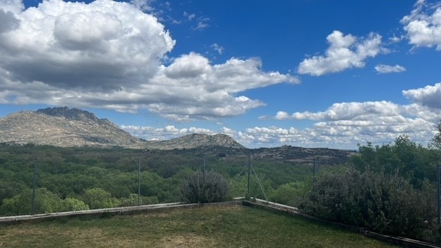 EUFEMISMOS CARCELARIOS :: Asociación de Derecho Penitenciario Rebeca ...